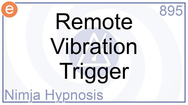 895 - Remote Vibration Trigger - Nimja Hypnosis